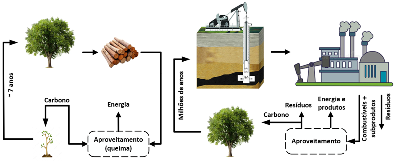 Aquecimento por biomassa: mais sustentável e vantajoso - Sebrae
